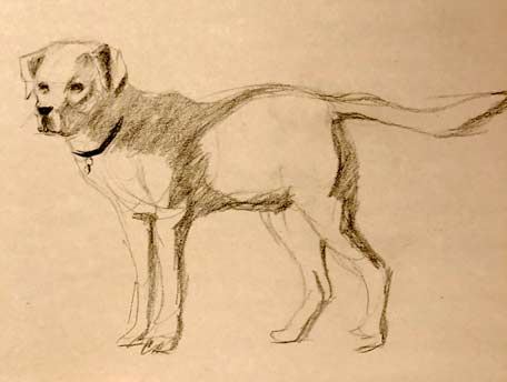 How to draw a Dog easy step by step drawing - Barnett Gallery