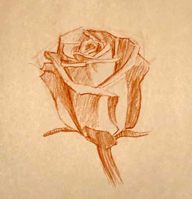 How to Draw a ROSE - Barnett Gallery