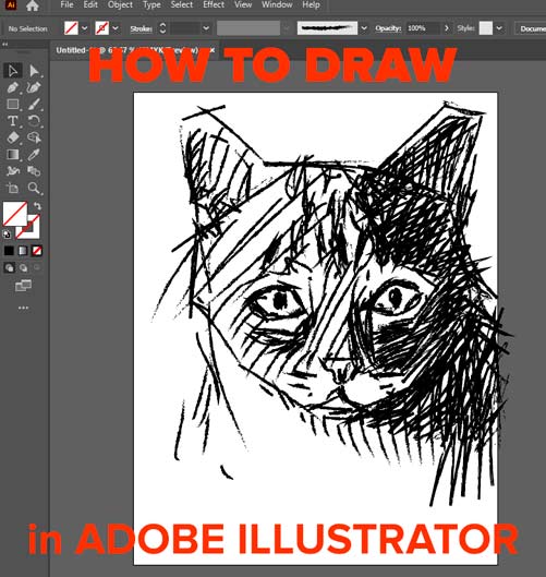 how to draw in Adobe Illustrator easy for beginners step by step tutorial - Barnett Gallery