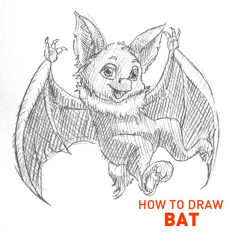 How to draw BAT drawing easy STEP BY STEP realistic with shading ...