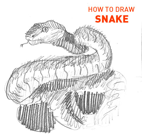 SNAKE drawing easy STEP BY STEP how to draw art realistic fantasy art ...